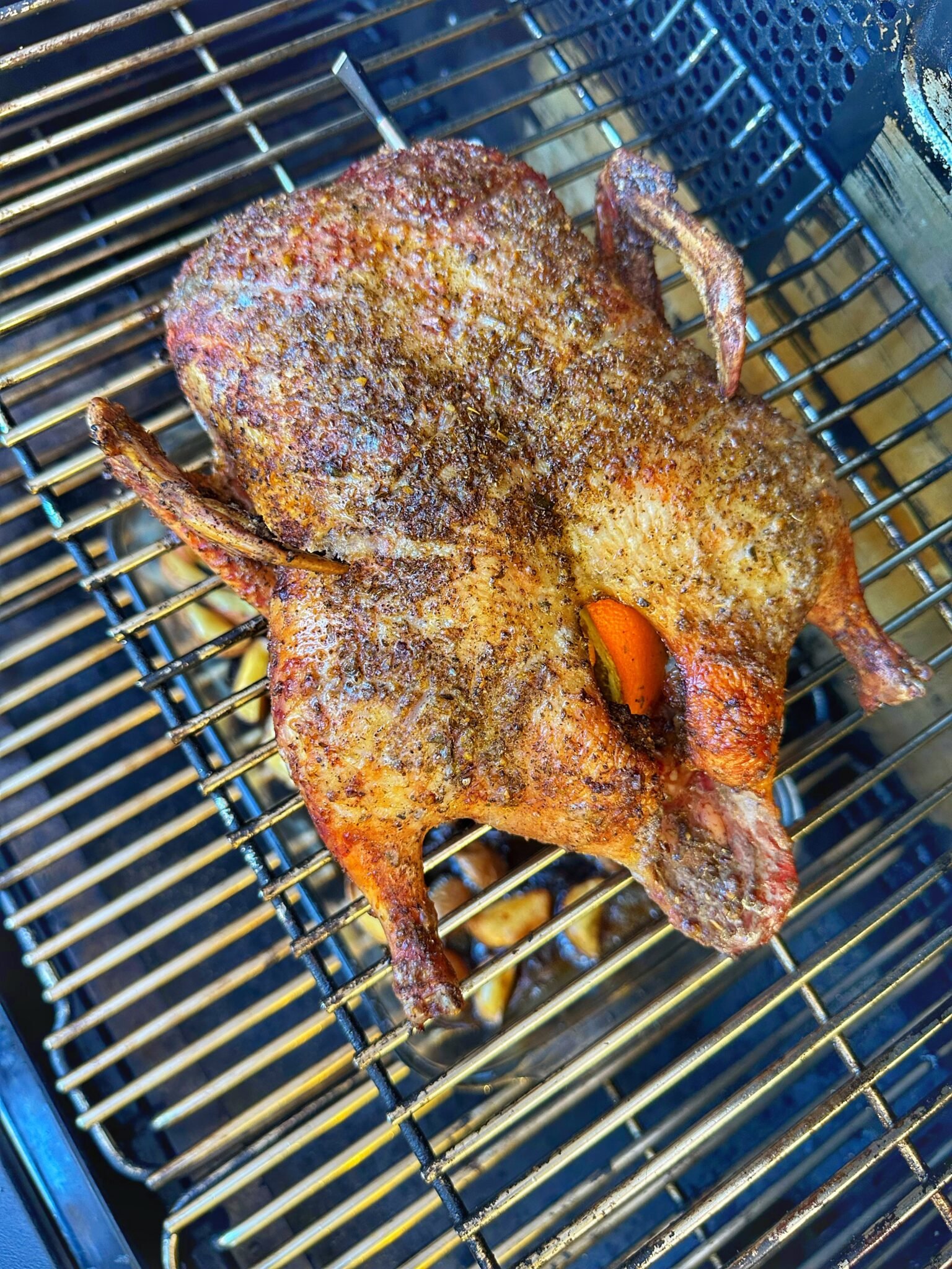 Traeger Roasted Whole Duck - This Jew Can Que
